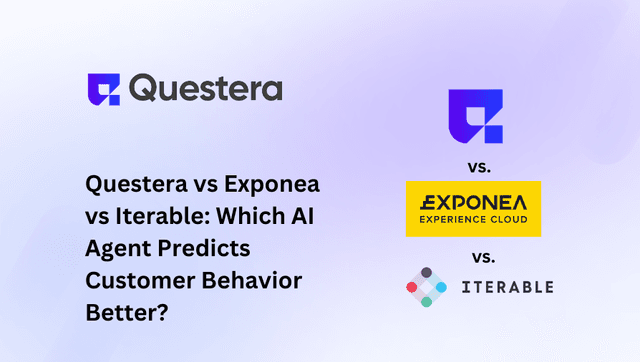 Questera vs Exponea vs Iterable: Best AI for Customer P...
